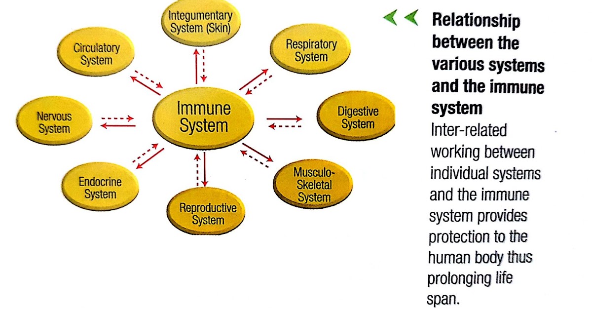Raine ~ Wholistic Lifestyle: Fine Tune your 9 Main Body System with DNP ...