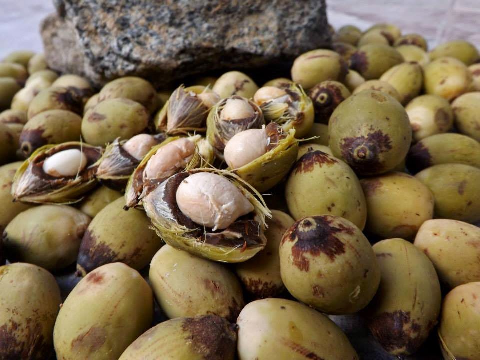 SERGIPE EM FOTOS: Sabor Sergipe - Adicuri