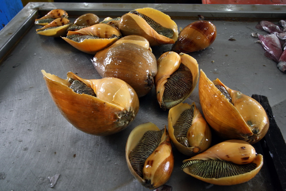 Getting Around The World: East Malaysia II: Sandakan Central Market, Sabah