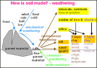 Critical Zone: Springfield Ohio: Soil Formation