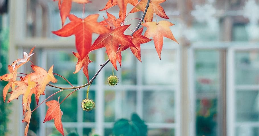 Three Tips on Getting Your Windows Ready for Fall
