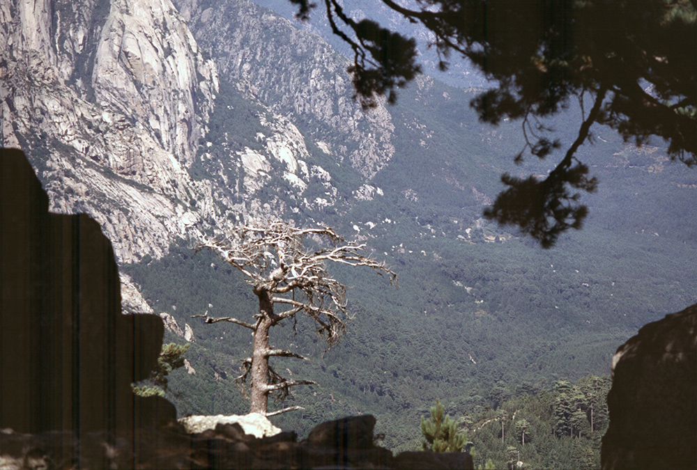 Soffia il vento dell'est: Luoghi del cuore 56: Rocce e mare di Corsica