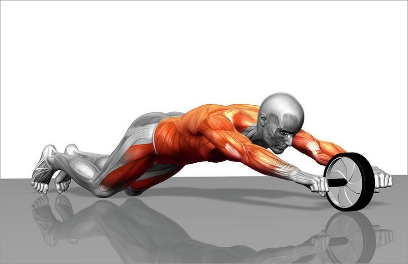 James Michael: Roda de exercícios abdominais, como usar corretamente e ...