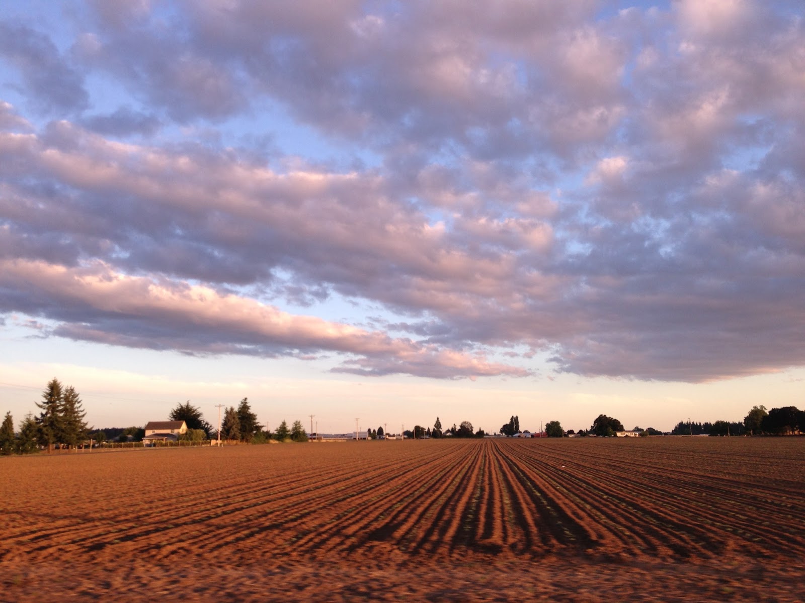 My Eclectic Thoughts: Oregon Countryside... Lots of Barns, Farms and ...