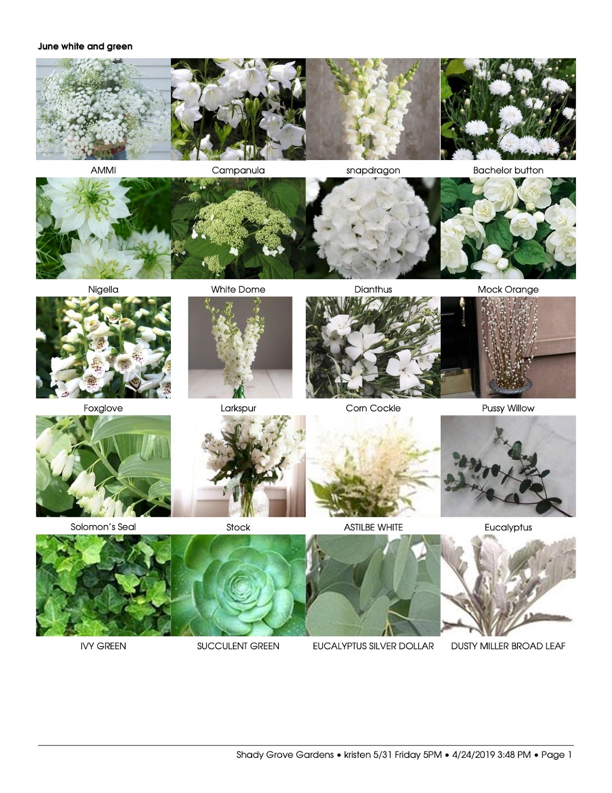 Notes and News from Shady Grove Gardens: June flowers with DIY arrangements