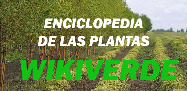 WIKIVERDE - ENCICLOPEDIA / DICCIONARIO VERDE ~ AL GRANO HORTELANO