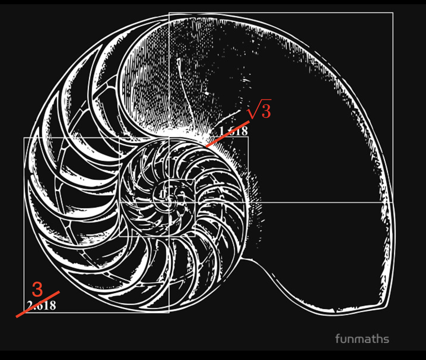 Chris Impens @ Valvas: Debunking golden ratio shells (2)
