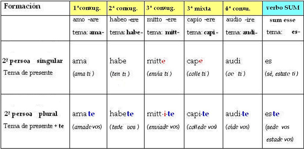 AULA LATINA : NATUM VIDETE!