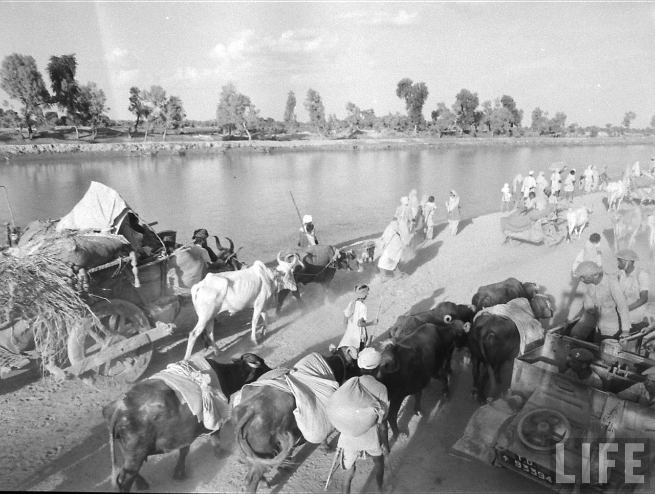 Rare Photos Of Partition Of India, 1947
