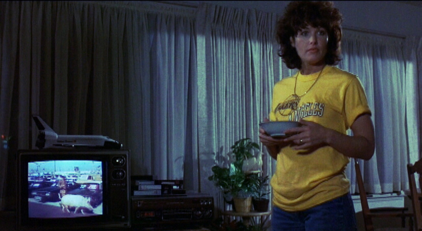 cult film freak: CAL WORTHINGTON JOURNEYS INTO THE NIGHT