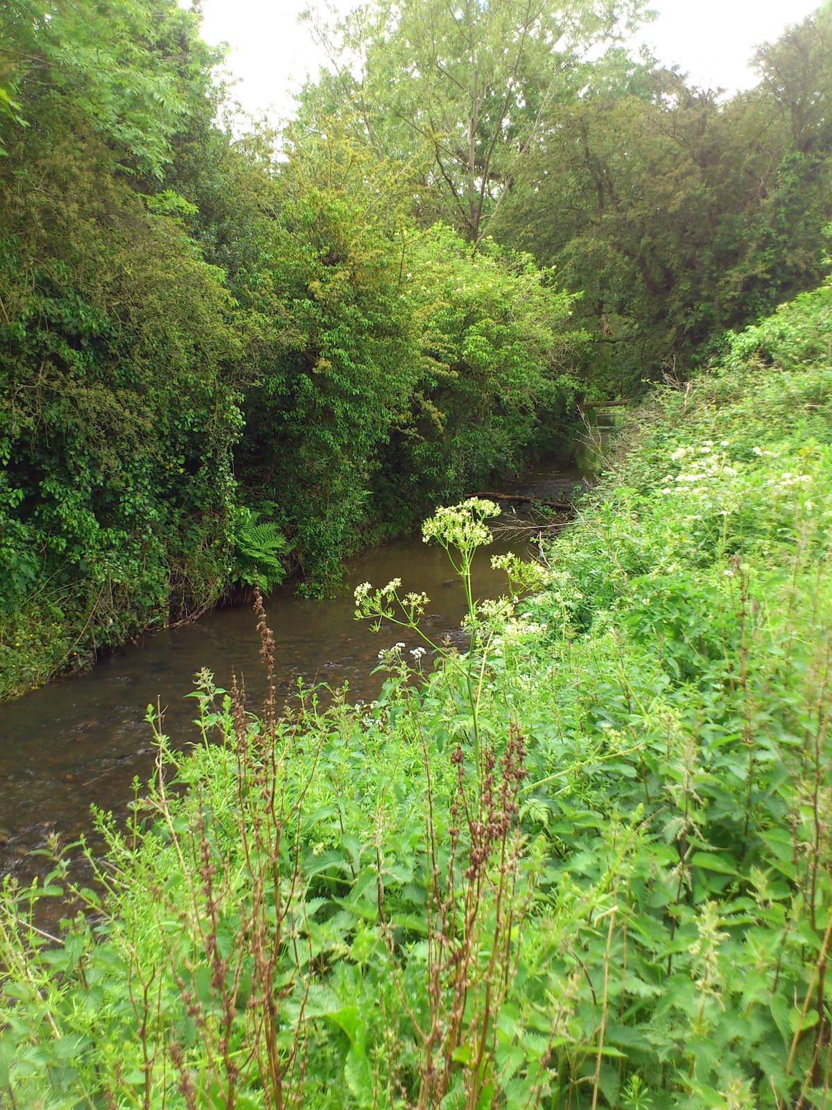 A Brummie's Guide to Birmingham: River Rea; Middlemore Rd - Popes Ln.