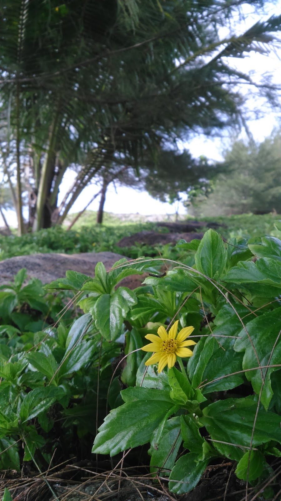 my life is chronicles: MENGENAL MACAM-MACAM SUDUT PENGAMBILAN GAMBAR ...