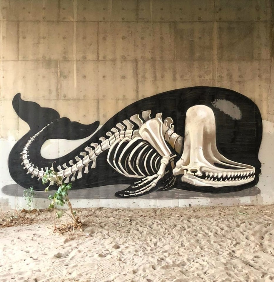 GRAFFITI COLLECTION IDEAS: Whales bone anatomy graffiti wall