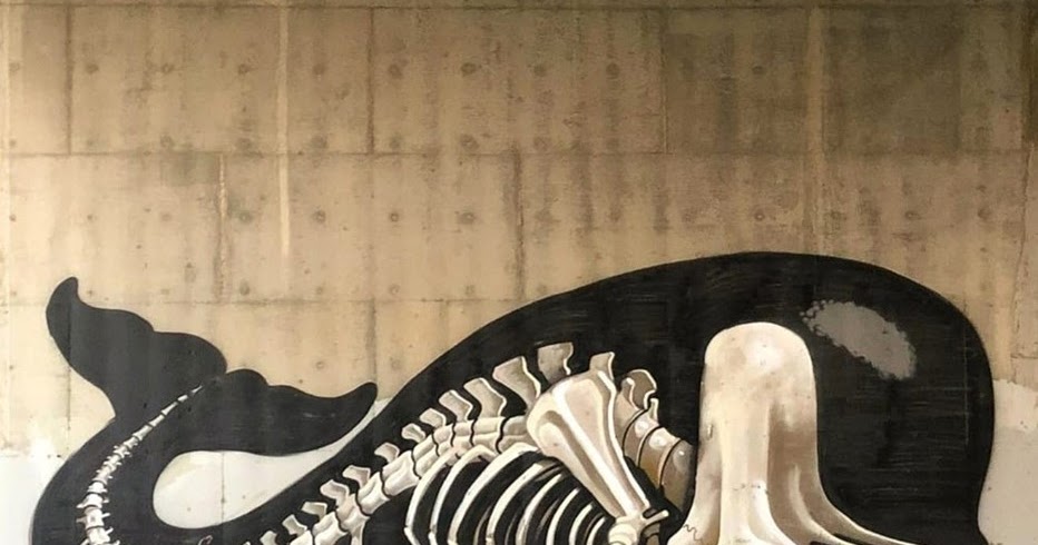 GRAFFITI COLLECTION IDEAS: Whales bone anatomy graffiti wall