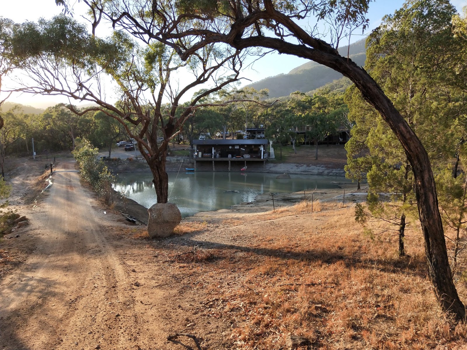 The Wandering Tops: Oakey Oasis
