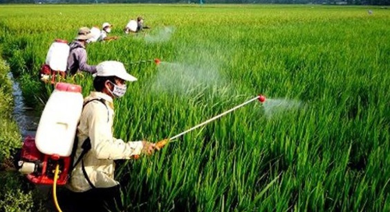 Anim Agro Technology: KESELAMATAN DAN PERLINDUNGAN MERACUN (Part 2)