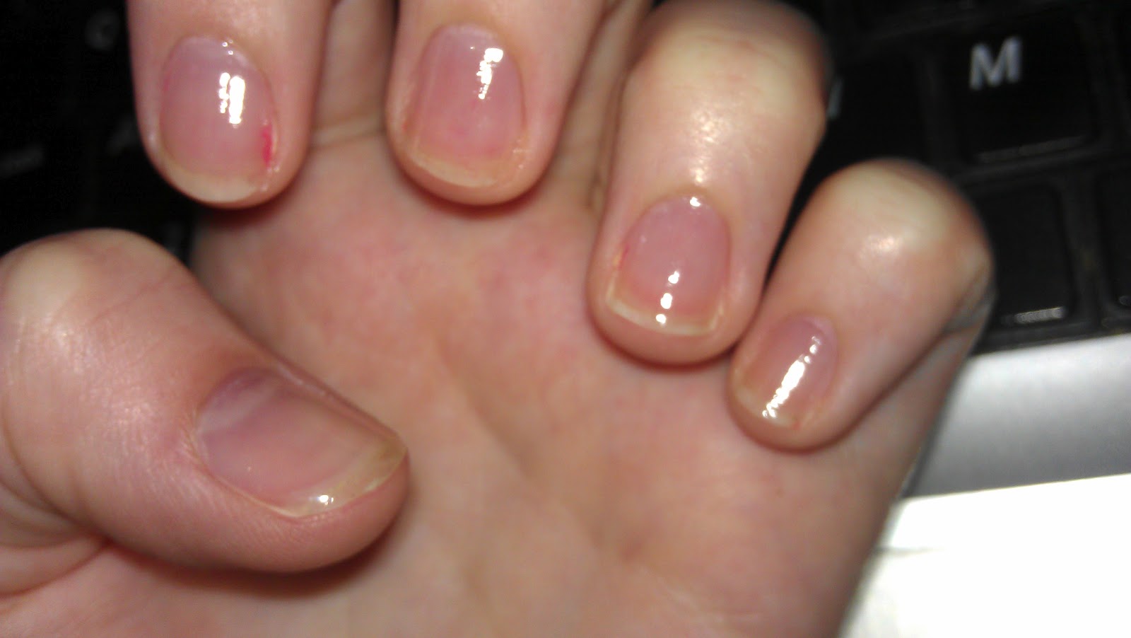 Leanne Marie: Two Week Nail Growth Project
