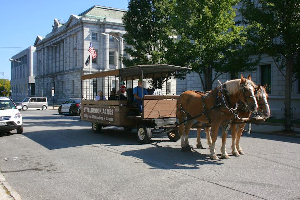 Ditto's Blog: Portland Horse Drawn Trolley Tour