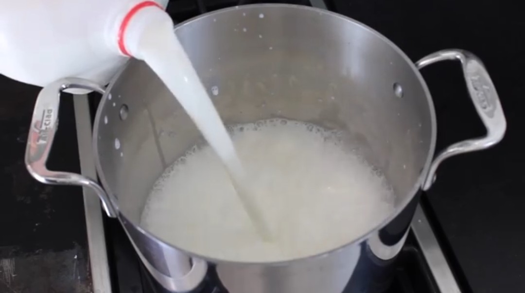 How to Make Casein Protein by Curds at Home