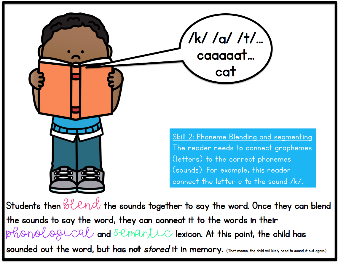 How Do We Learn New Words? Orthographic Mapping | Sarah's First Grade ...