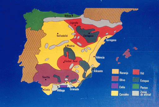 Por la terrible estepa castellana. Las aves esteparias ibéricas.