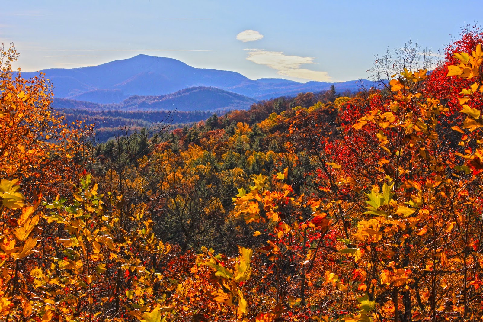 Where's Trevor: Nantahala Autumn - Nantahala National Forest, North ...