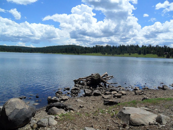 Nikus' Road: One more Pinetop story