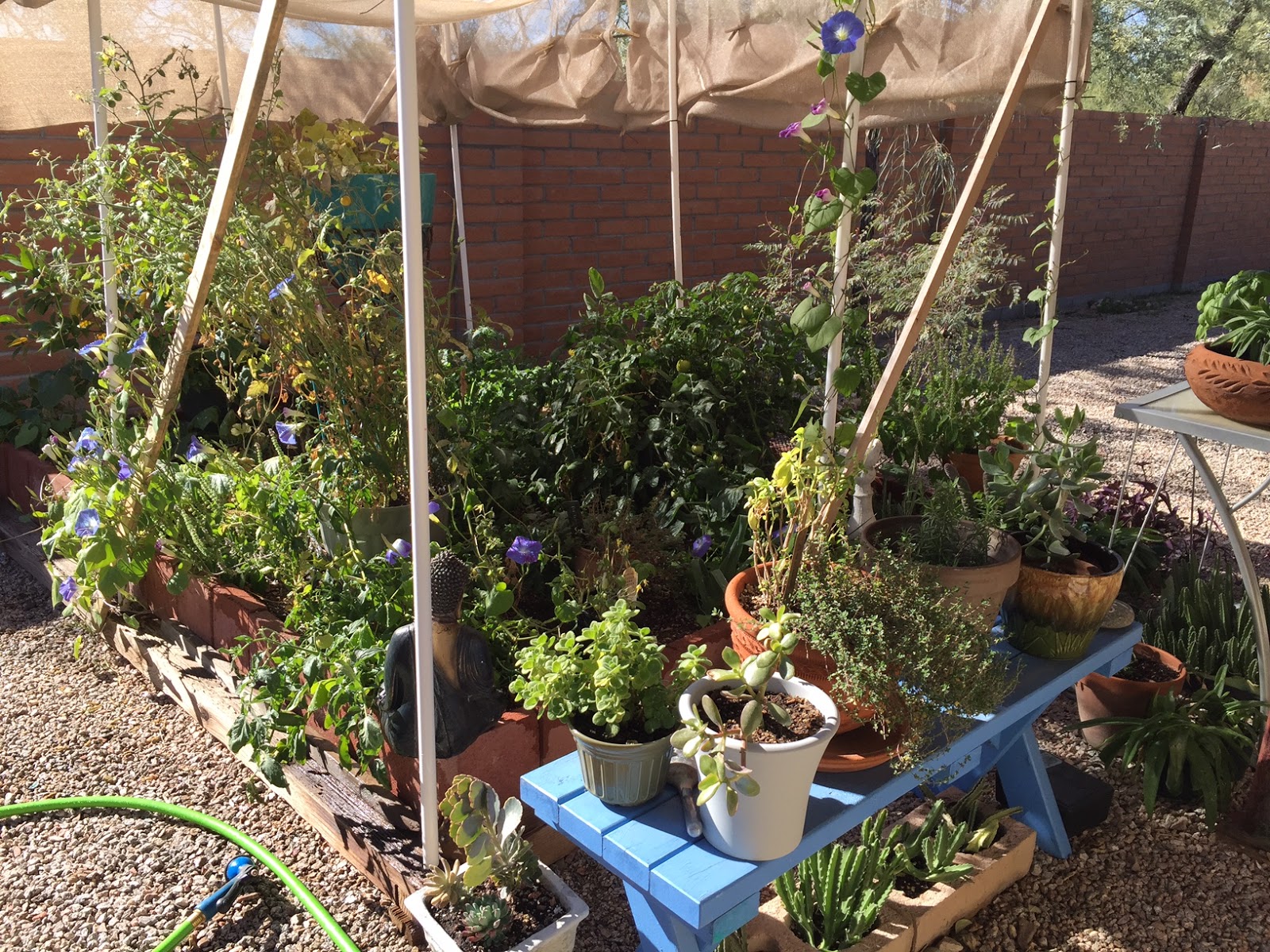 Gypsy Deva: G is for gardening