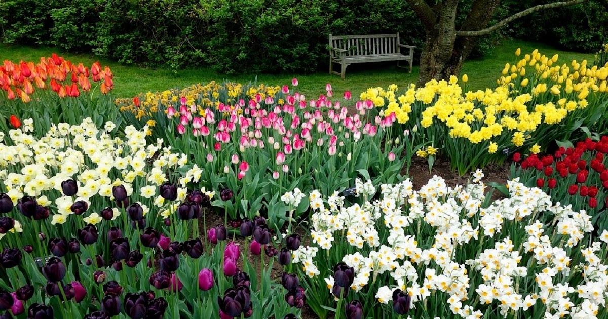 Yard and Garden Secrets: Early Spring Garden Activities