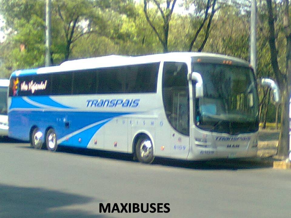 MAXIBUSES: TRANSPAÍS TURISMO - NUEVAS UNIDADES (TURISMO)
