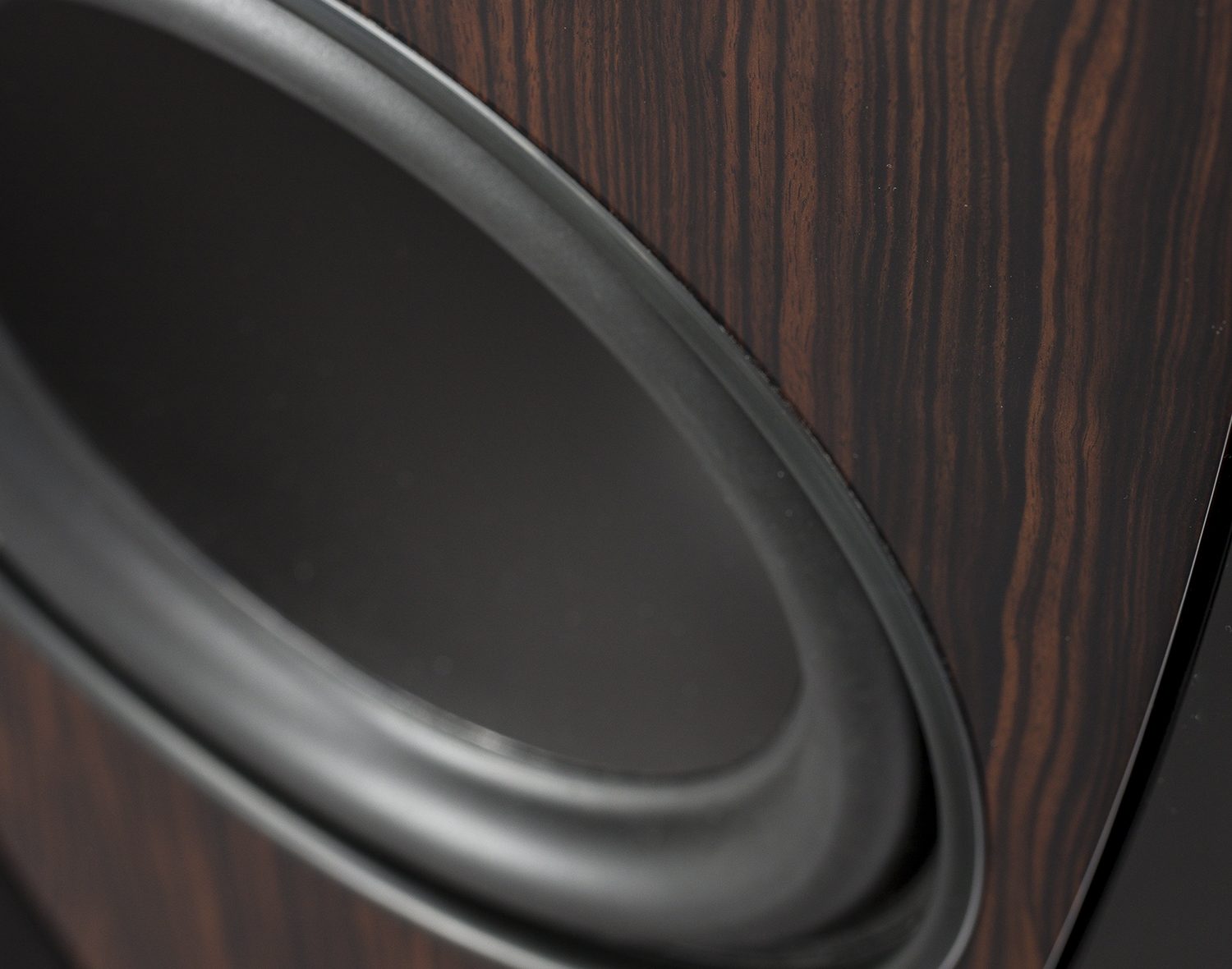 NEW ELAC CONCENTRO M SPEAKER – M & S | Ultimate High-Fidelity