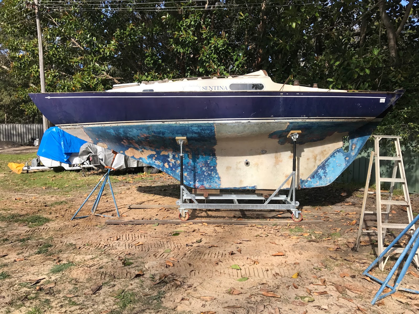 Sentina - Ship's Blog