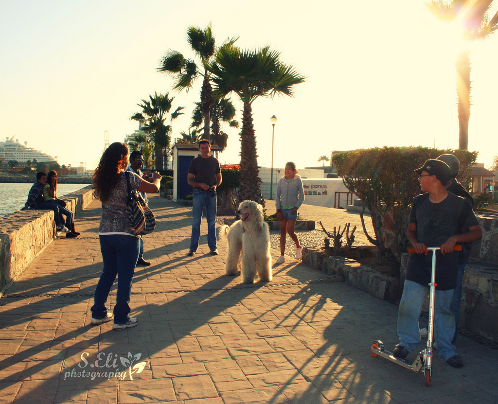 Elizabeth's Secrets: Su nombre es, Kiko.