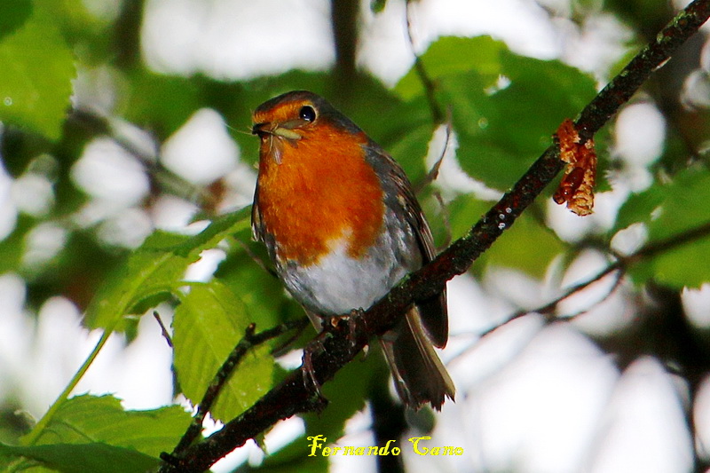 Mogón: SENDEROS DE MOGÓN