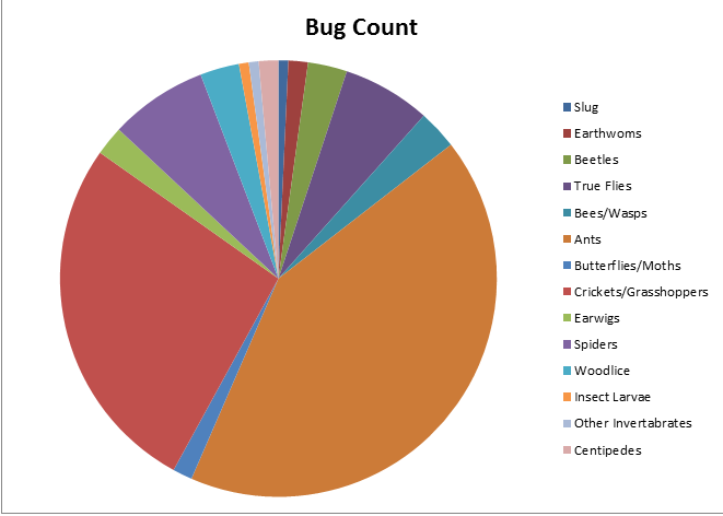 The TDM: The Pie Chart a bit Bigger