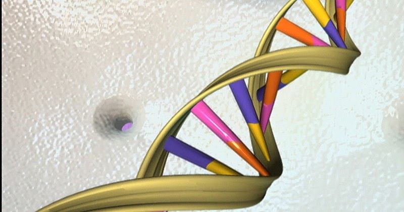 Rincondeciencias2013: Bioquímica Estructural