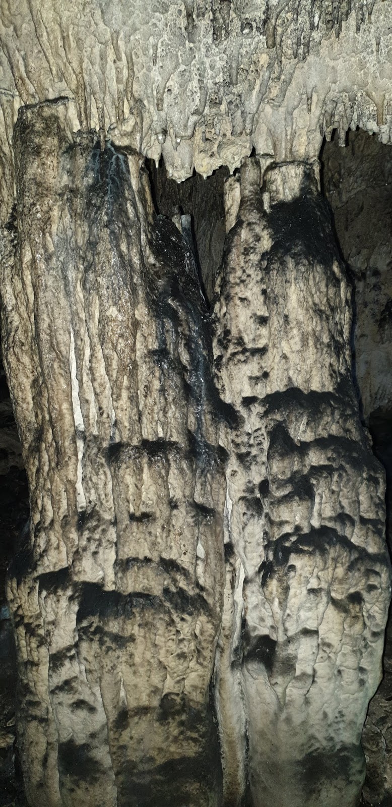 Pasionati de frumos !: Cheile Șugău - Peștera Tunel - Peștera Munticelu ...