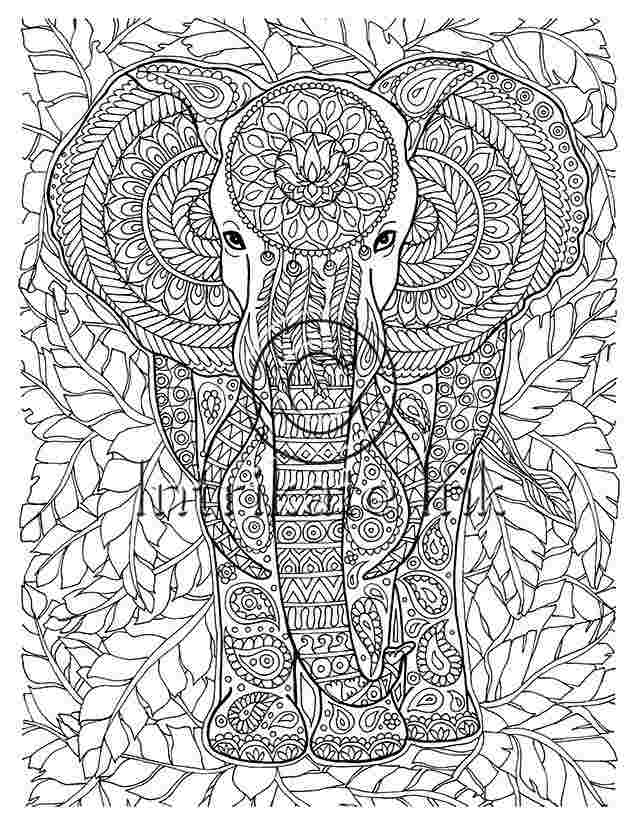 Intricate Coloring Pages ~ Coloring Pages