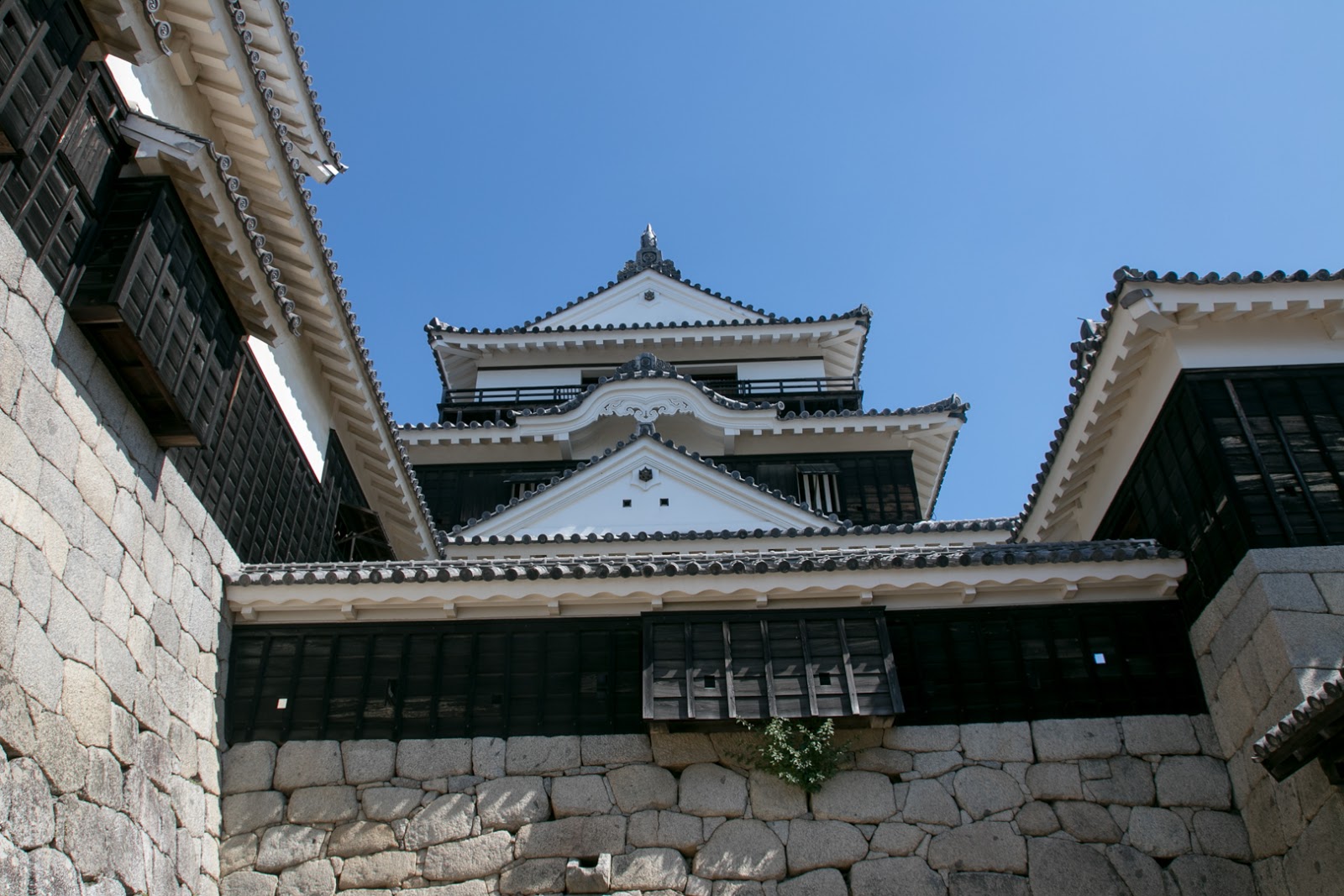 Matsuyama Castle -Exhibition of defense facility- | Japan Castle Explorer