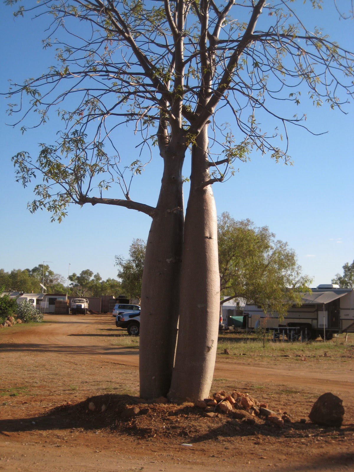 Ray and Maura Travelling Australia: Katherine to Roebuck Plains via ...