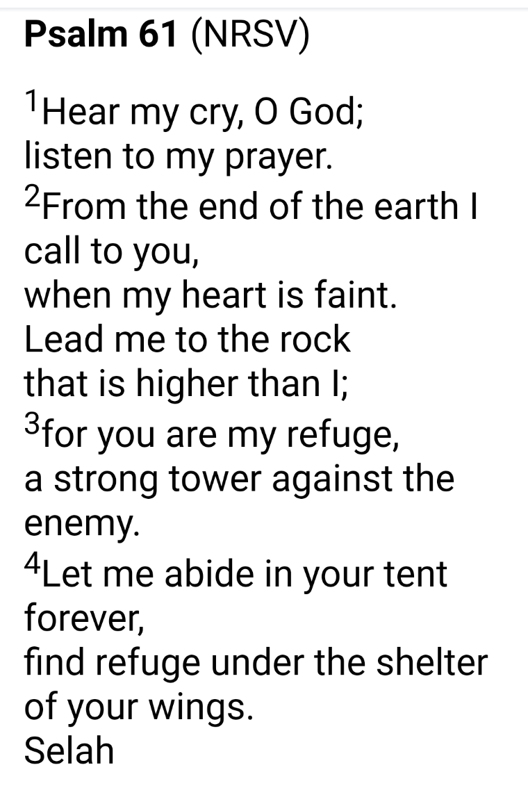 Driven To Drink Psalm 61 Refuge And Stability driven-to-drink-psalm-61-refuge-and-stability