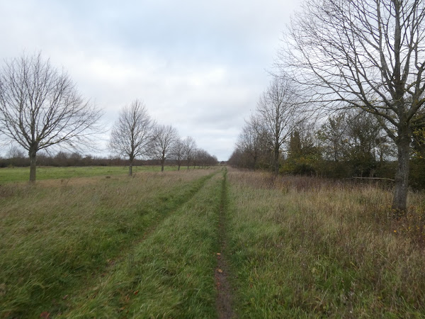 Boz North's Trail - Walking Blog: Whaddon to Cambridge via The Wimpole ...