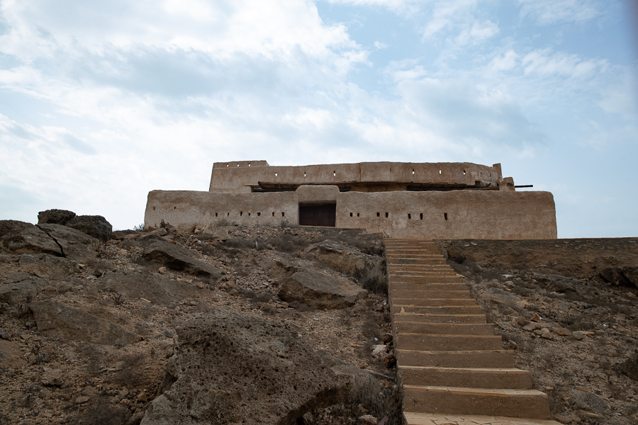 Birds of Saudi Arabia: Farasan Fort – Farasan Islands