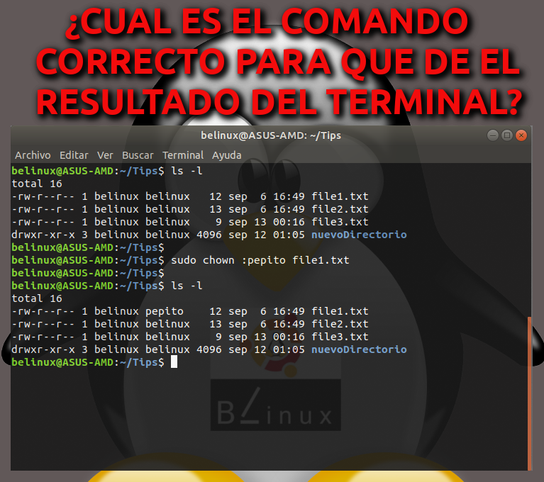Ubuntu Linux: Recopilación Tips gráficos de comandos de Linux