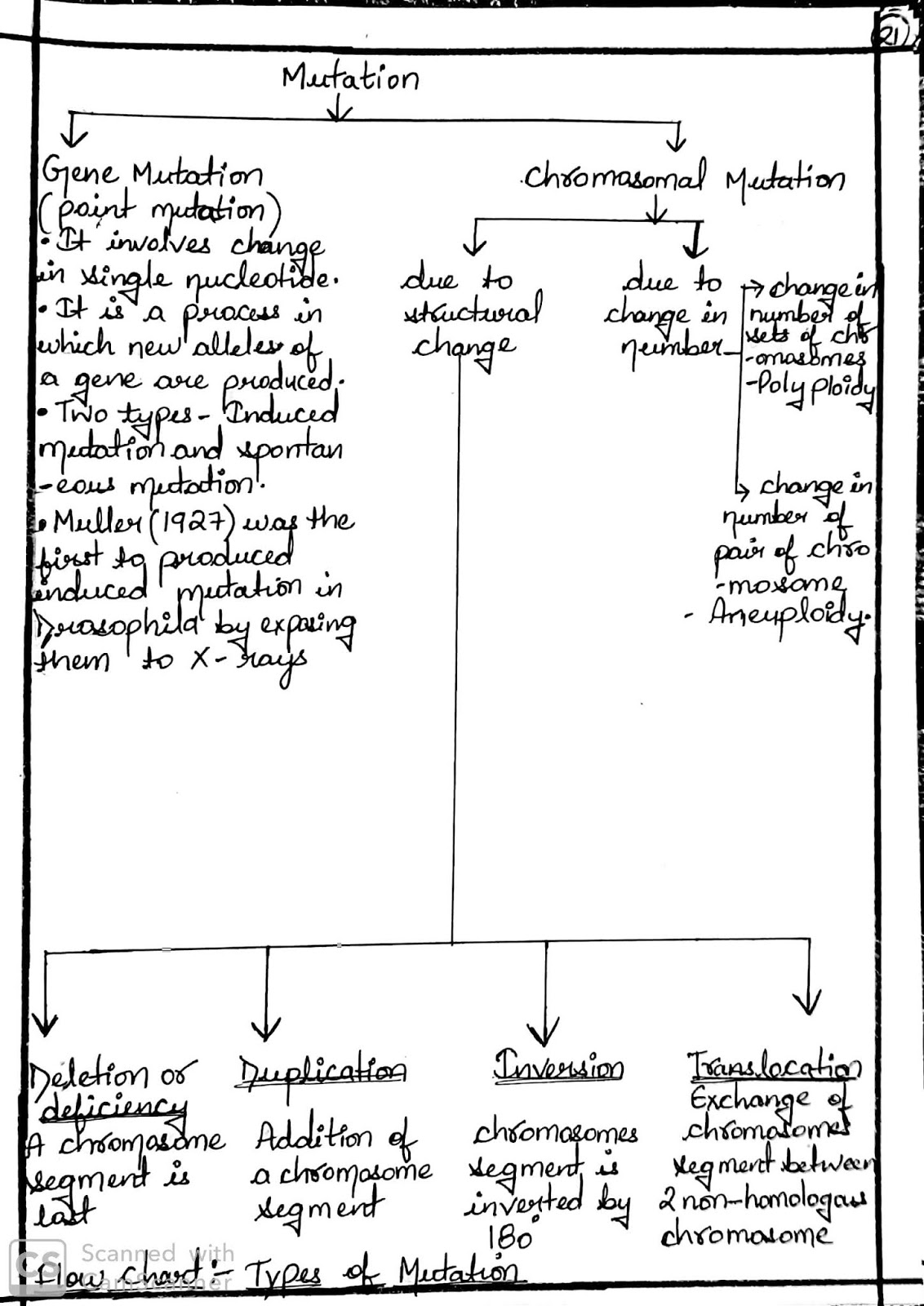 Principle of Inheritance and Variation Handwritten Notes for 12th Biology
