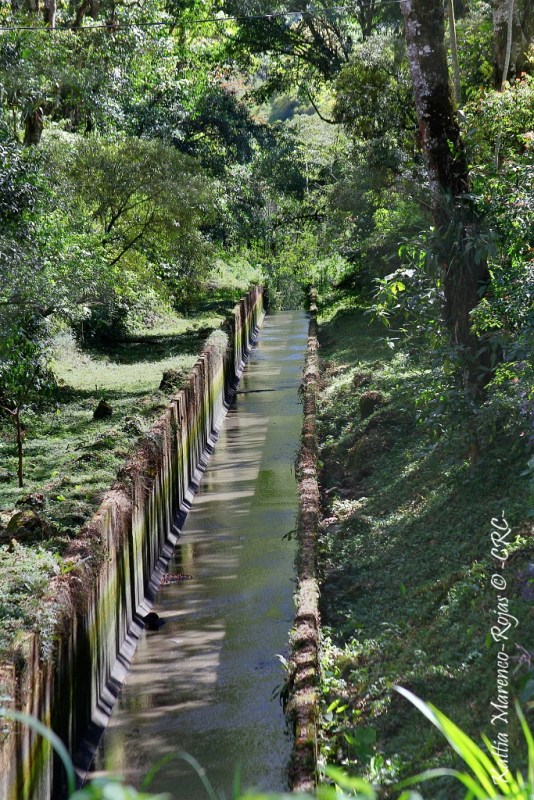 Parque Nacional Tapantí | Explore Costa Rica
