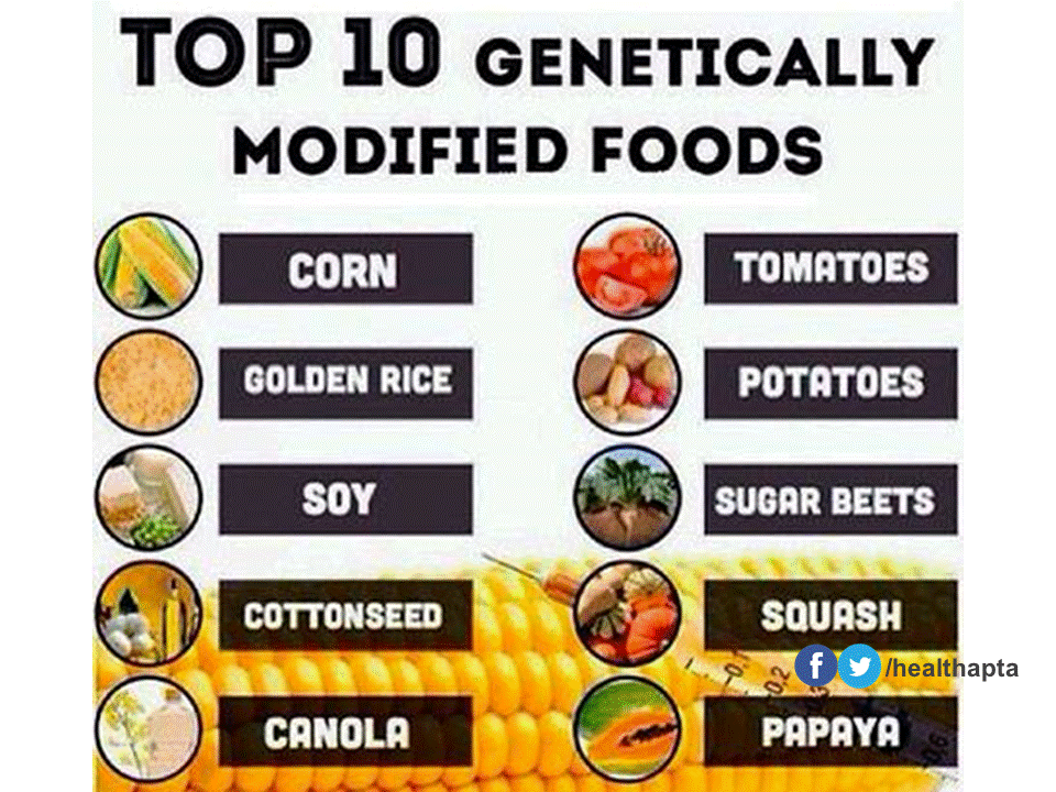 Healthapta: Top 10 Genetically Modified Foods