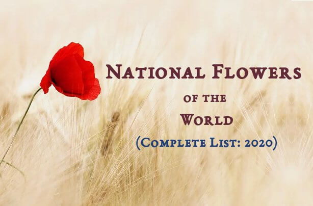 National Flowers of the World