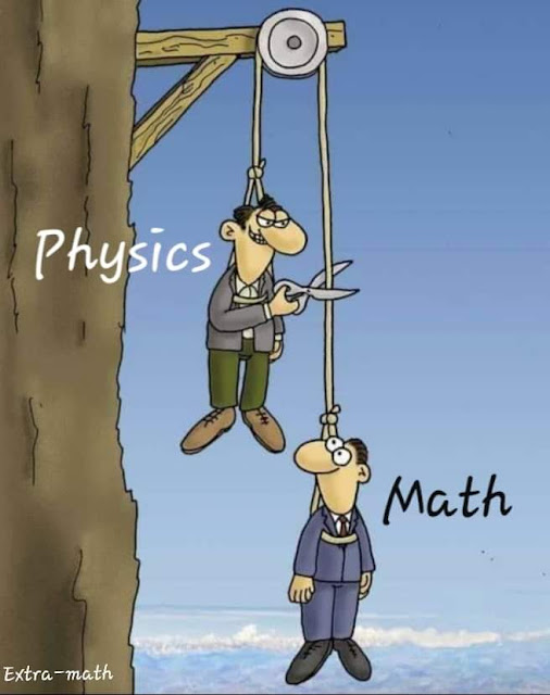 Физика Гај: Physics vs Math