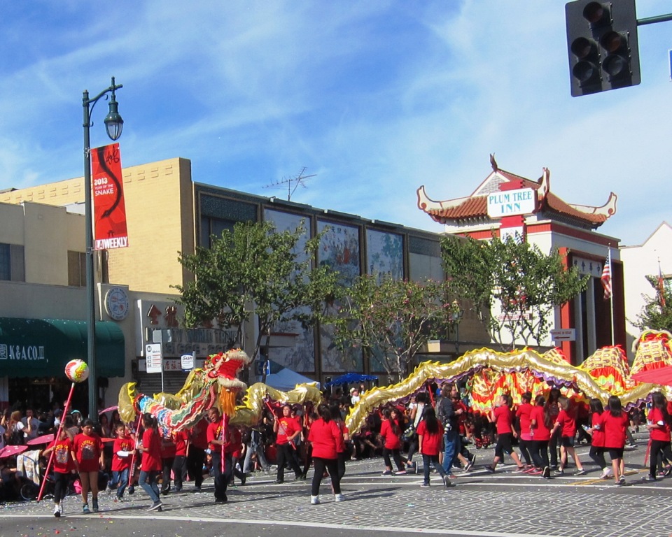 Doves Today: Year of the Snake